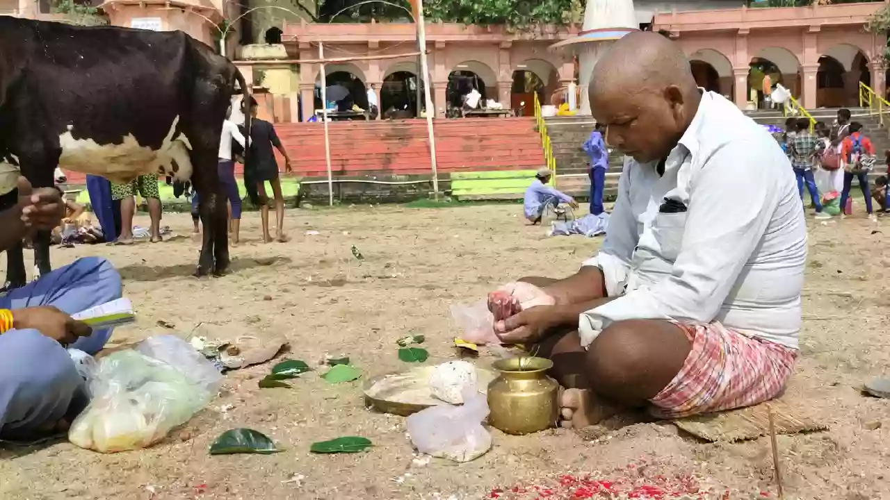 The Hindu Concept of Pitrus: Who Are We Honoring?